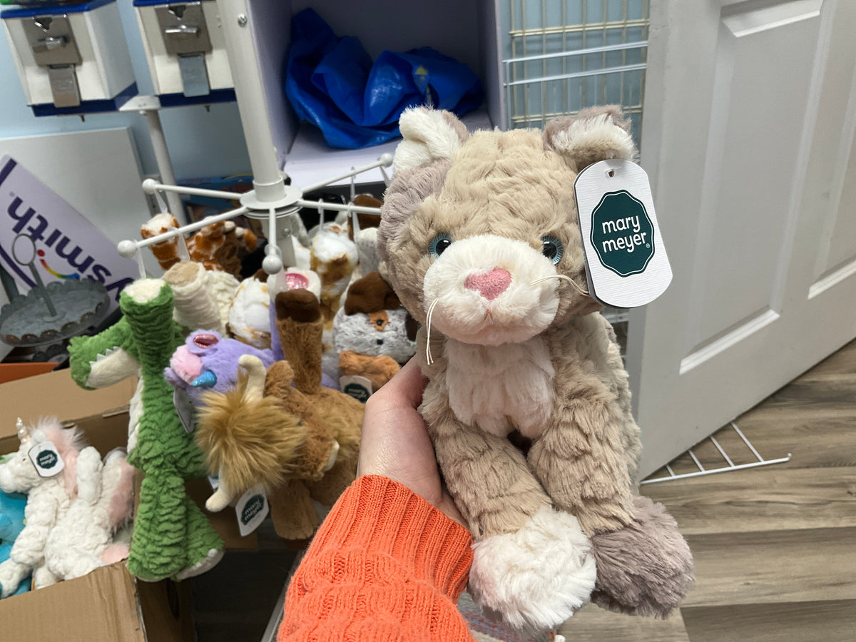 Kaylee Putty Cat – Orange Otter Toys